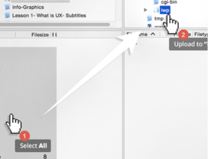Installation Options - InfiniteWP