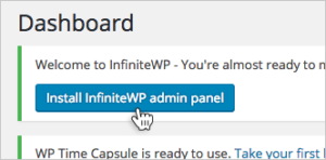 Installation Options - InfiniteWP